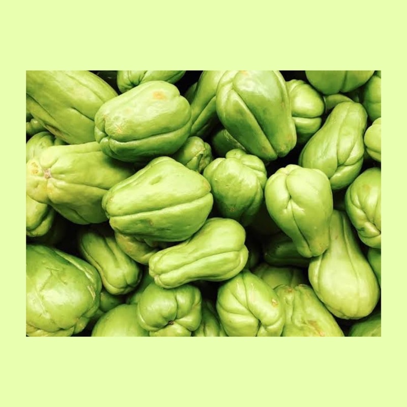 Jual Labu siam/ sayur labu siam baby | Shopee Indonesia