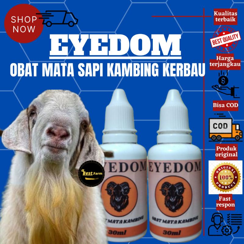 Jual OBAT TETES MATA SAPI KAMBING EYEDOM BEST FARM | Shopee Indonesia