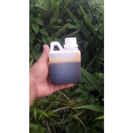 Jual Madu Asli hutan liar Sumatra no campuran | Shopee Indonesia