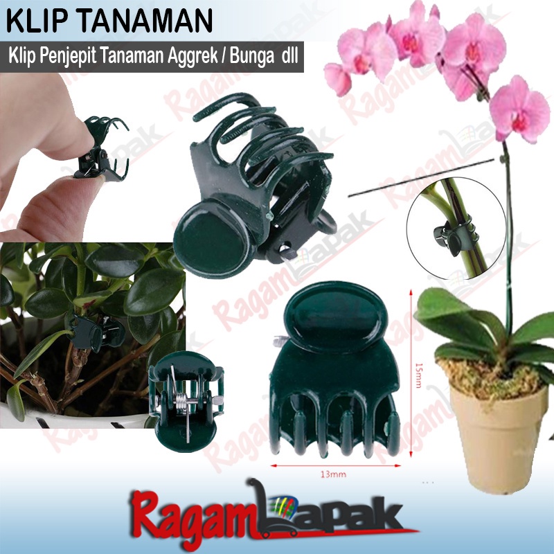 Jual Klip Penjepit Tangkai Bunga Anggrek Hijau - Jepitan tanaman ...