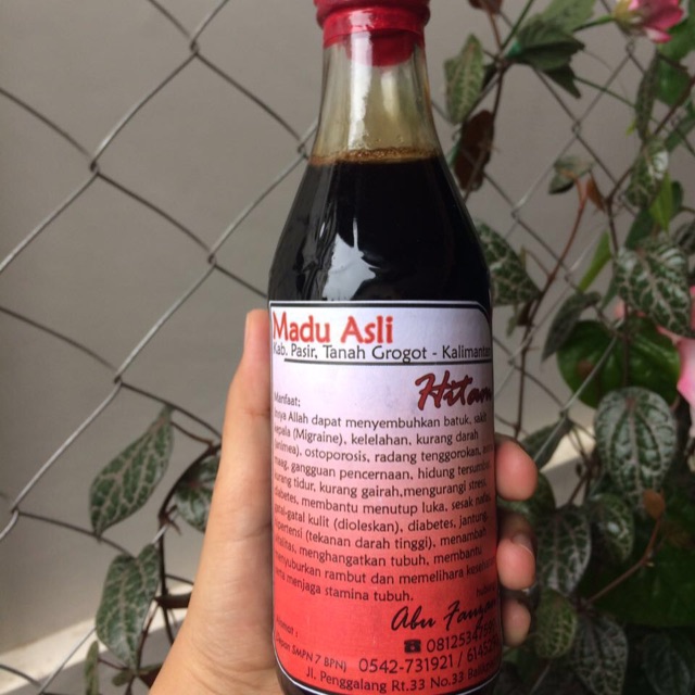 Jual Madu Hitam Asli Hutan Kalimantan / Madu Kesehatan / Madu Asli ...