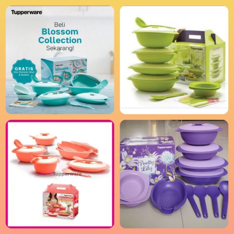 Jual BLOSSOM COLLECTION tupperware | Shopee Indonesia
