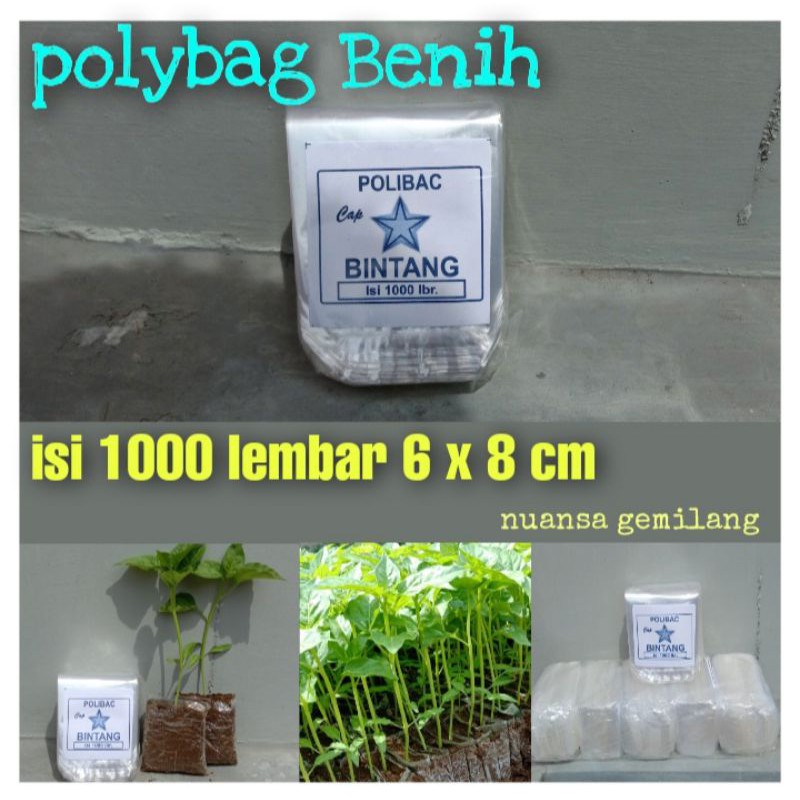 Jual Polybag benih Polybag semai Polybag kecil isi 1000 lembar | Shopee ...