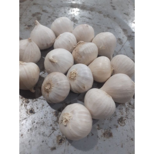 Jual Bawang Putih Tunggal Bawang Lanang Impor 100 Gram 1 Ons Shopee