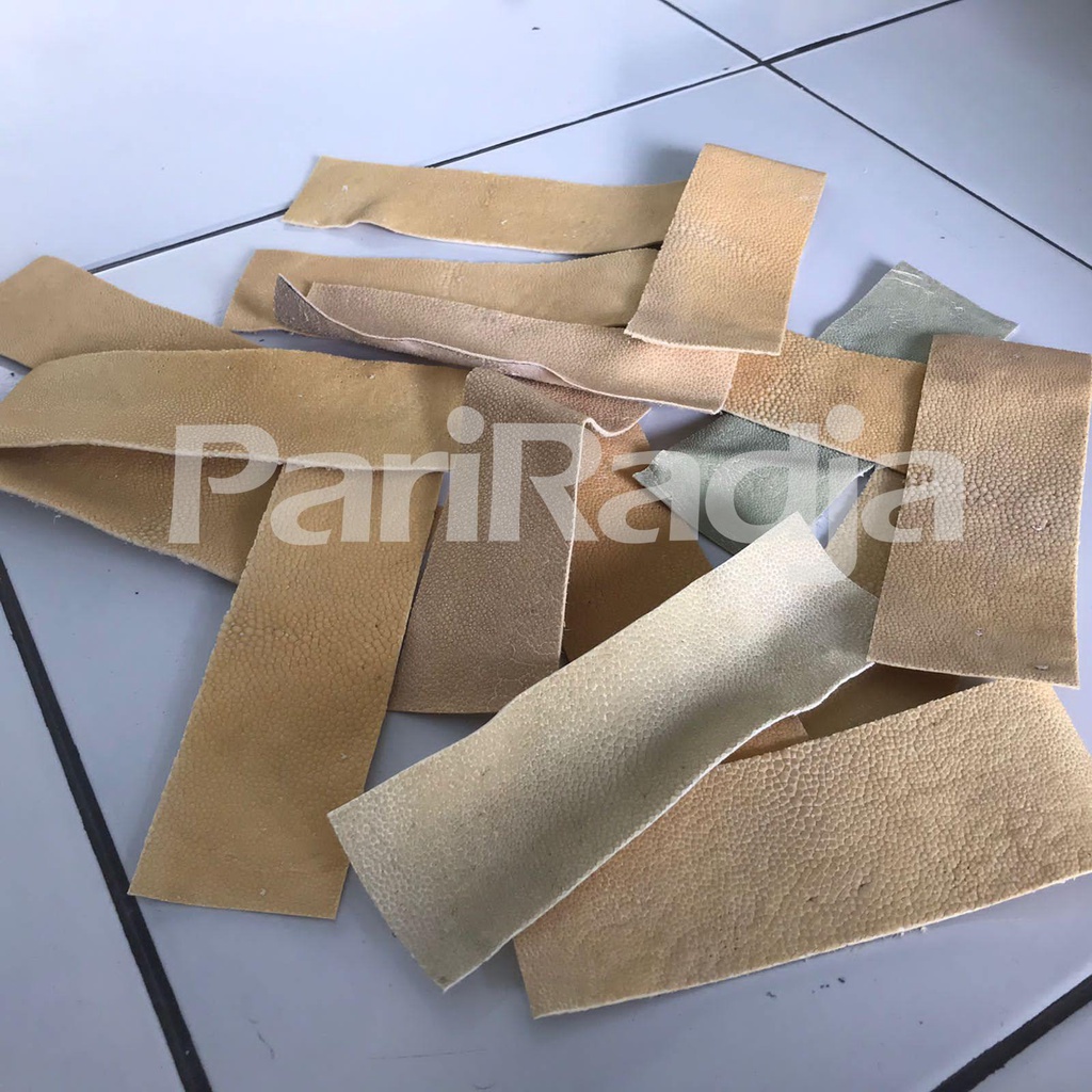 Jual kulit ikan pari super size 5 x 15 untuk pembuatan pelapis busur ...