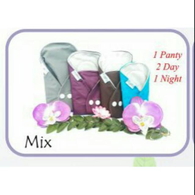 Jual Menspad Riyoka mix 1n,2d,1p malam siang pantyliner panty Menstrual ...