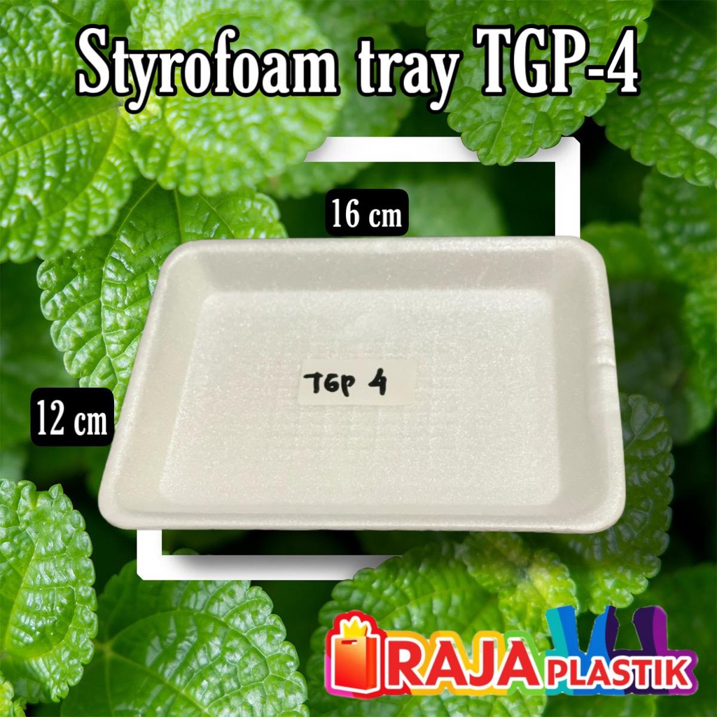 Jual Gabus Piring Buah, Sayur / Gabus Tray Buah, Sayur /styrofoam tray ...
