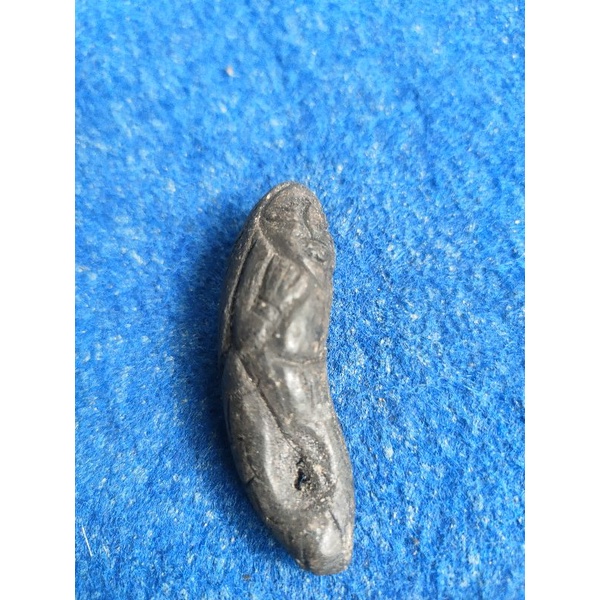 Jual fosil mimi lan mintuno | Shopee Indonesia