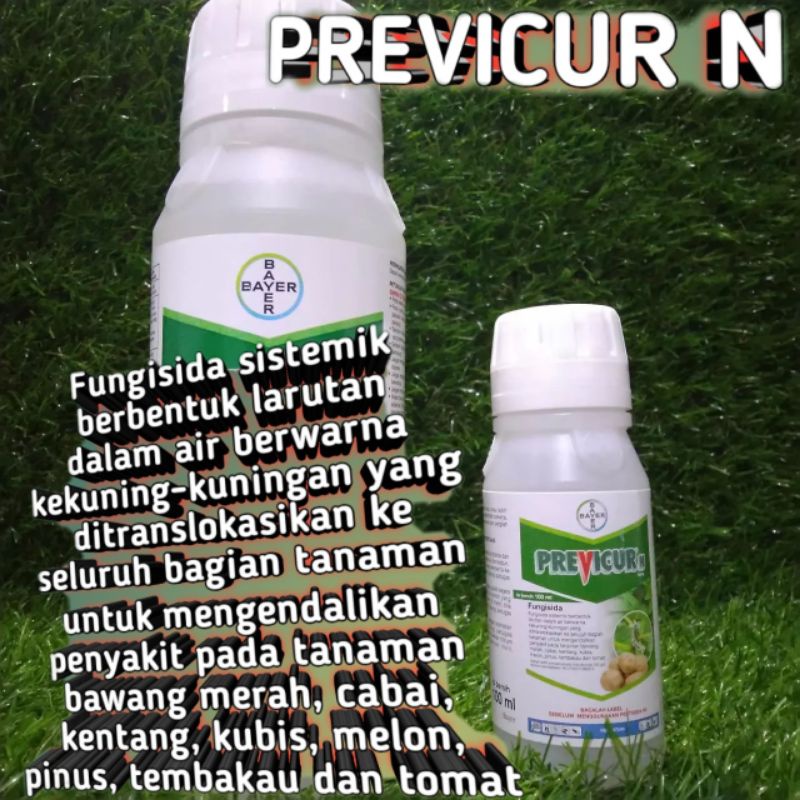 Jual PREVICURE N 500ML | Shopee Indonesia