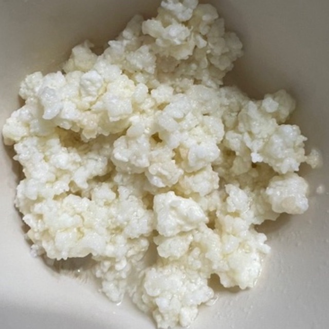 Jual Kefir Grains (Bibit Kefir) | Shopee Indonesia
