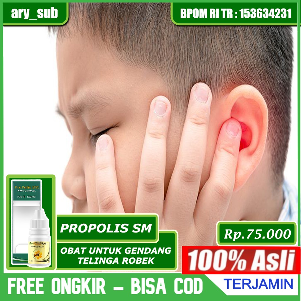 Jual Obat Gendang Telinga Robek - Bocor - Telinga Terasa Sakit - Telinga Sulit Mendengar ...