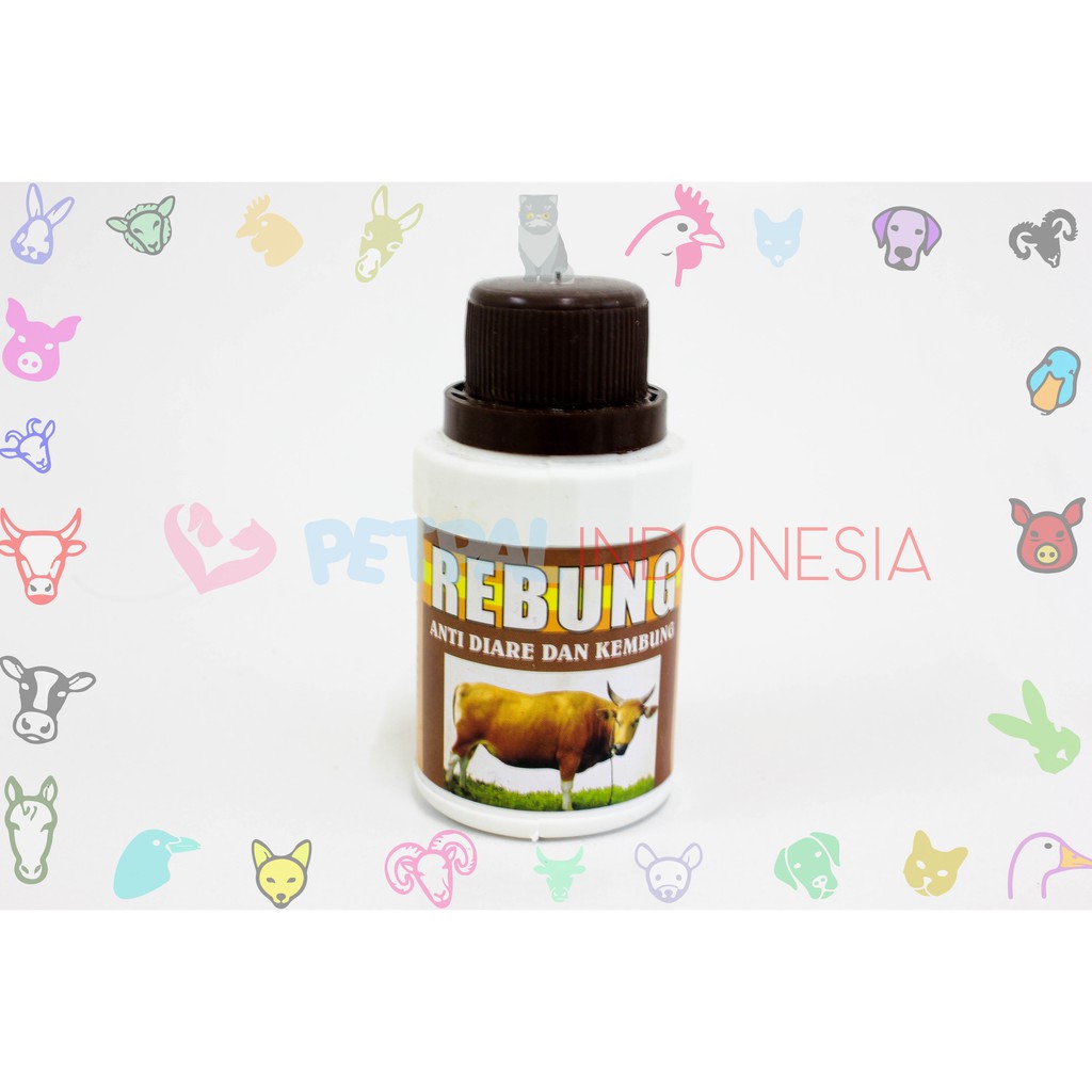 Jual Rebung Sapi 120 ml Obat diare dan kembung sapi kambing domba kuda ...