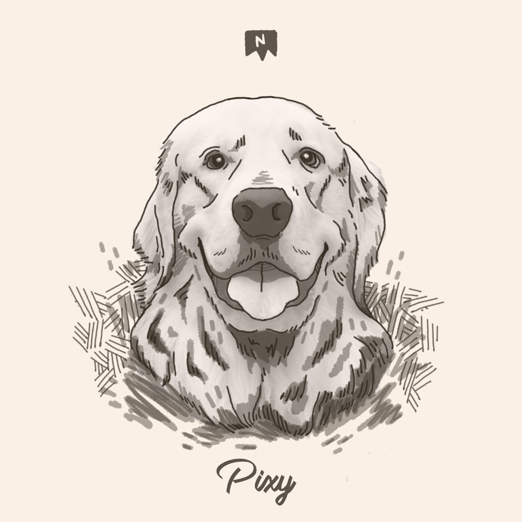 Jual Sketsa Wajah Hewan Sketch Style | Shopee Indonesia