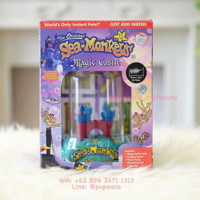 Jual Sea Monkey Pets Asli USA | Shopee Indonesia