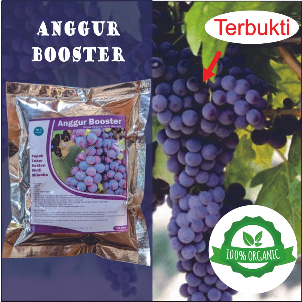 Jual PUPUK BOOSTER ANGGUR || PUPUK ANGGUR || PERANGSANG BUAH | Shopee Indonesia