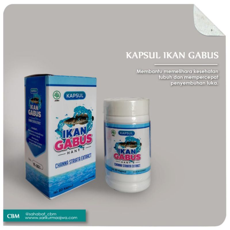 Jual kapsul ikan gabus (kapsul kutuk) | Shopee Indonesia Jual kapsul ikan gabus (kapsul kutuk) | Shopee Indonesia