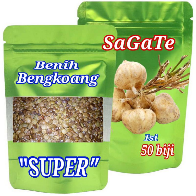Jual Bibit Biji Bengkoang Tua Pohon | Shopee Indonesia