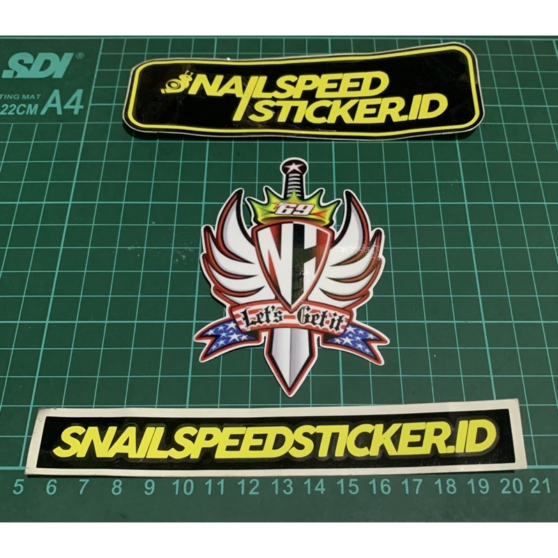 Jual sticker helmet printing Hayden moto gp 10x7 cm | Shopee Indonesia