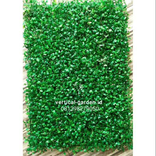 Jual Pohon dollar rambat artificial - Dollar Rambat sintetis 40cm x ...