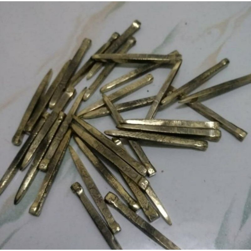Jual paku bumi Kuningan rajah 5cm | Shopee Indonesia