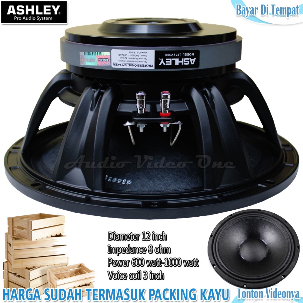 Jual Speaker Ashley 12 Inch LF12V300 Speaker Komponen Voice Coil 3 Inch ...