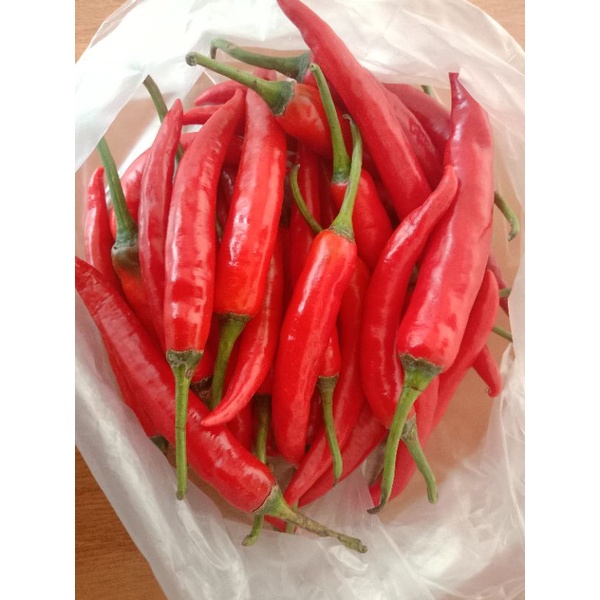 Jual BSM | TERMURAH Cabe Merah Besar / Cabai Merah Besar Segar 250gr ...