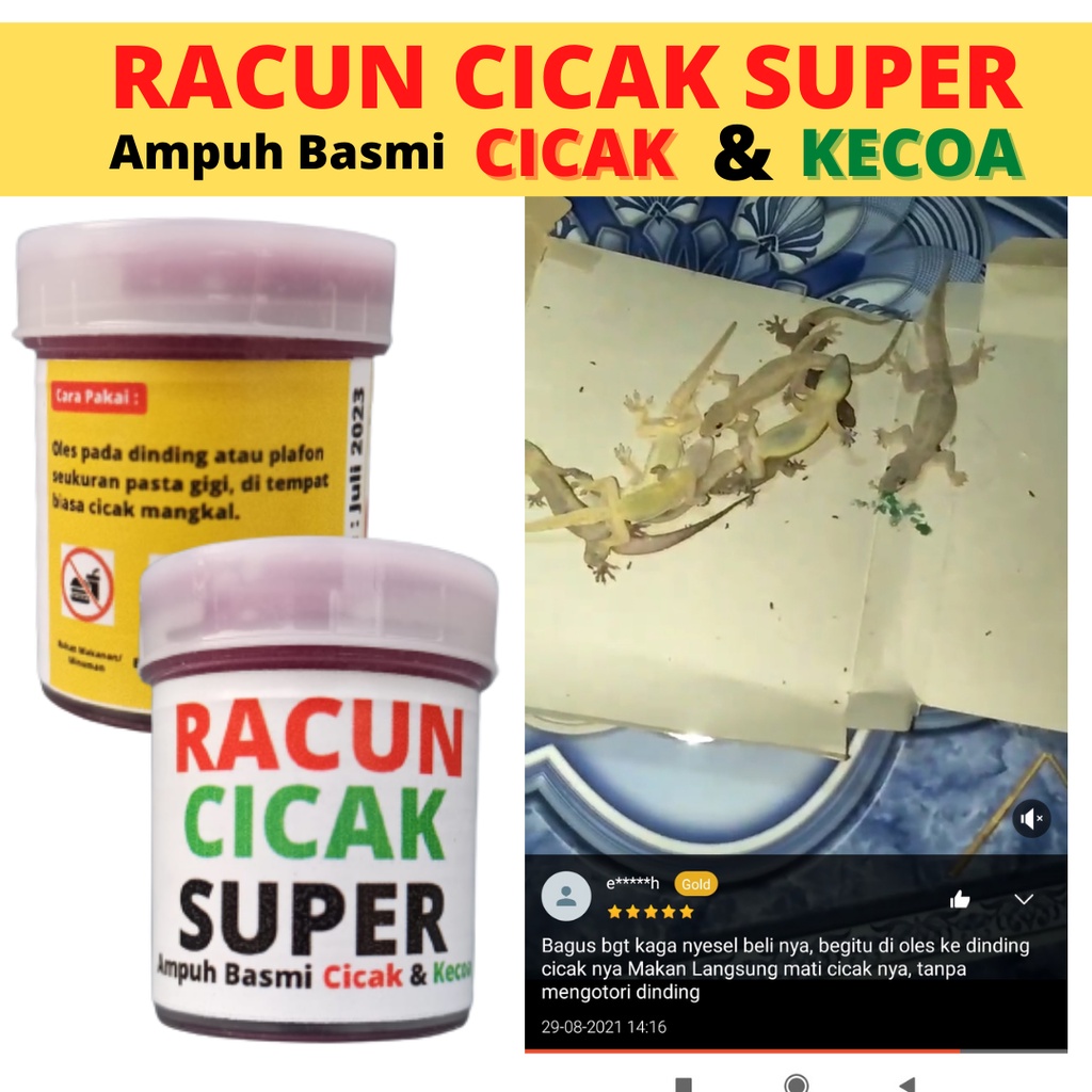 Jual RACAK Racun Cicak Super Herbal Original | Pembasmi Cicak Ampuh 100 ...