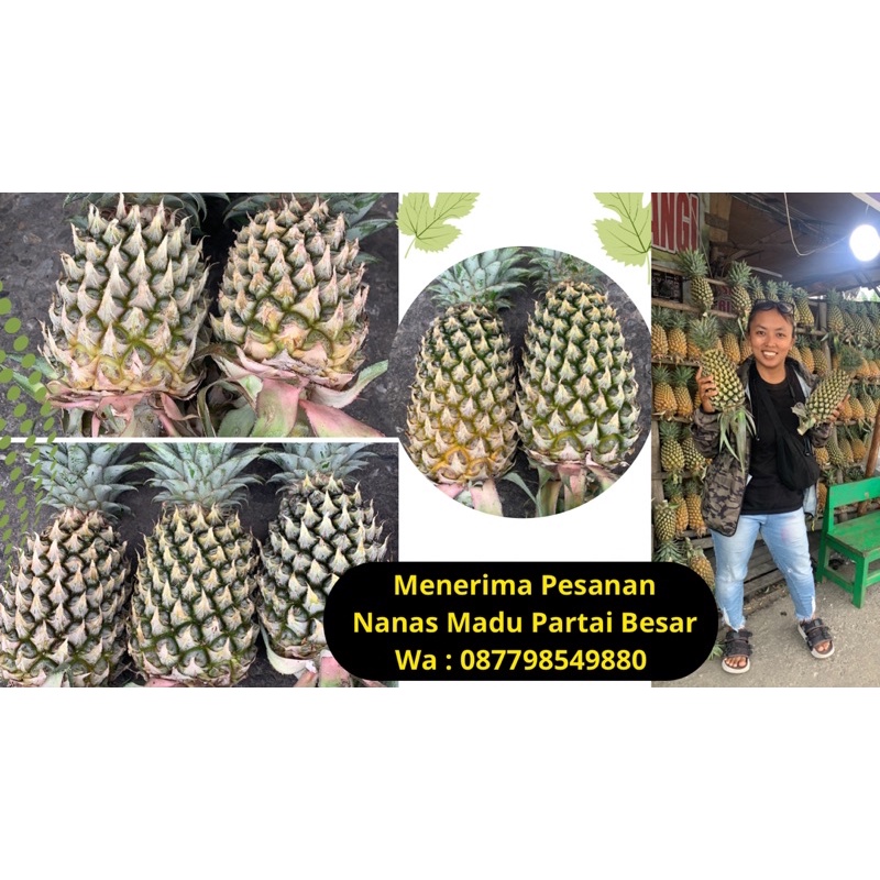 Jual Nanas Madu ( Queen ) | Shopee Indonesia