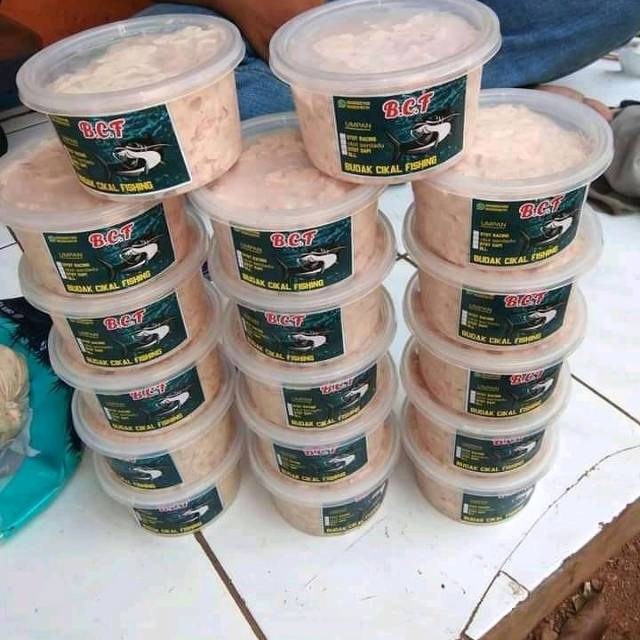 Jual umpan Galatama lele teryahuttt OTOT RACING produk (B.C.F) | Shopee ...