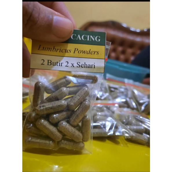 Jual kapsul cacing obat tipes isi 20pcs/ kapsul cacing lumbricus ...