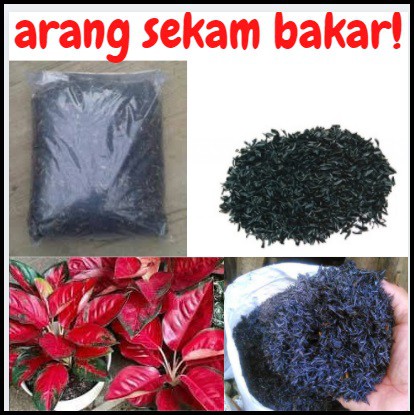 Jual MEDIA TANAM SUPER GEMBUR ARANG sekam bakar | Shopee Indonesia