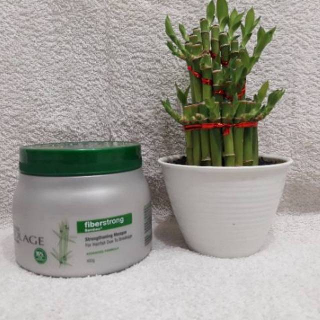 Jual Masker Fiberstrong Matrix(Rambut Rusak) | Shopee Indonesia