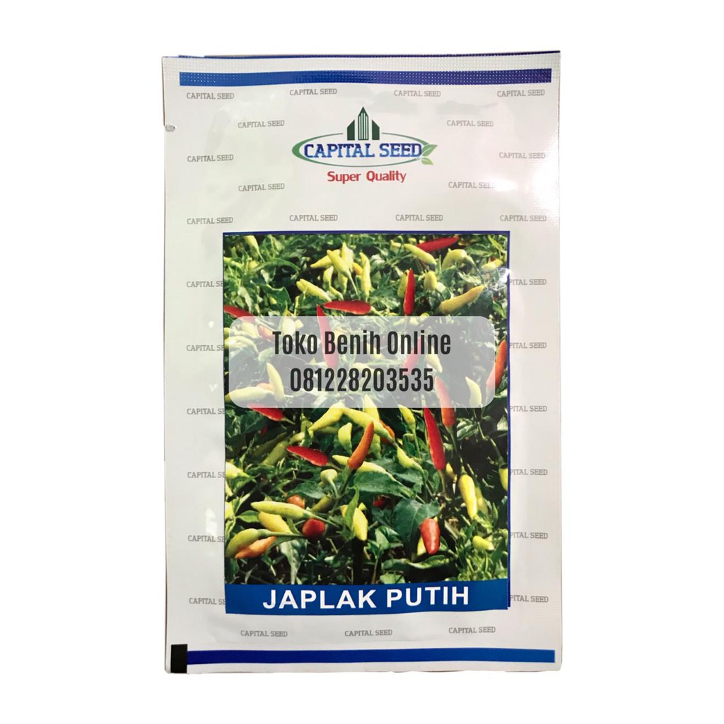 Jual BENIH CABE RAWIT PUTIH - JAPLAK PUTIH - 10g - Capital Seed ...