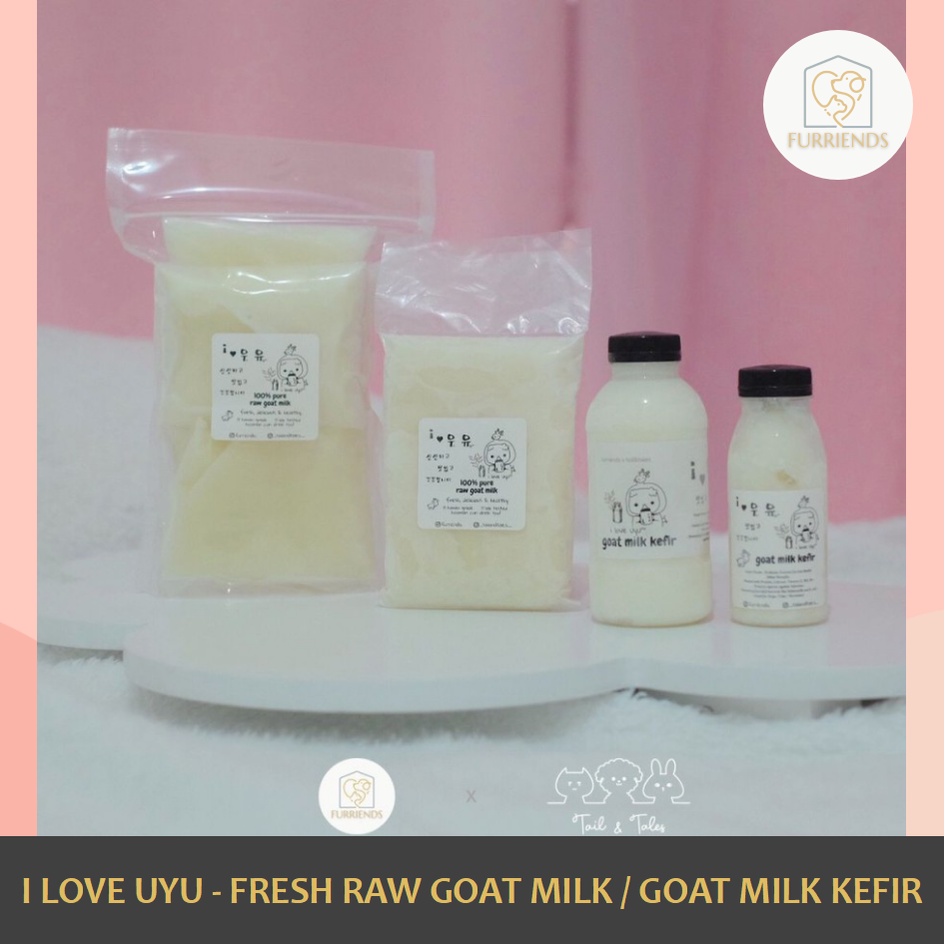 Jual UYU - Kefir Goat Milk Probiotic untuk Kesehatan Pencernaan / Fresh ...