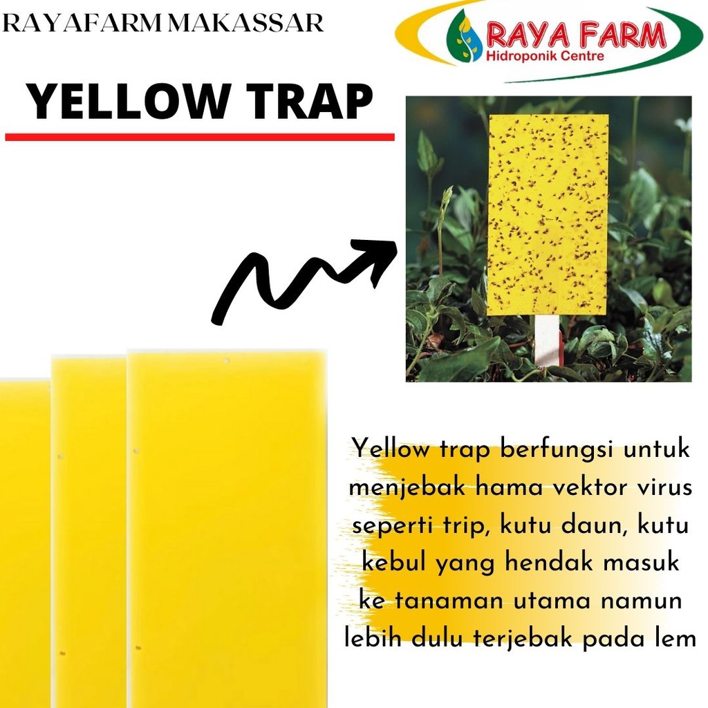 Jual Yellow Trap / Perangkap Hama isi 10 Lembar | Shopee Indonesia