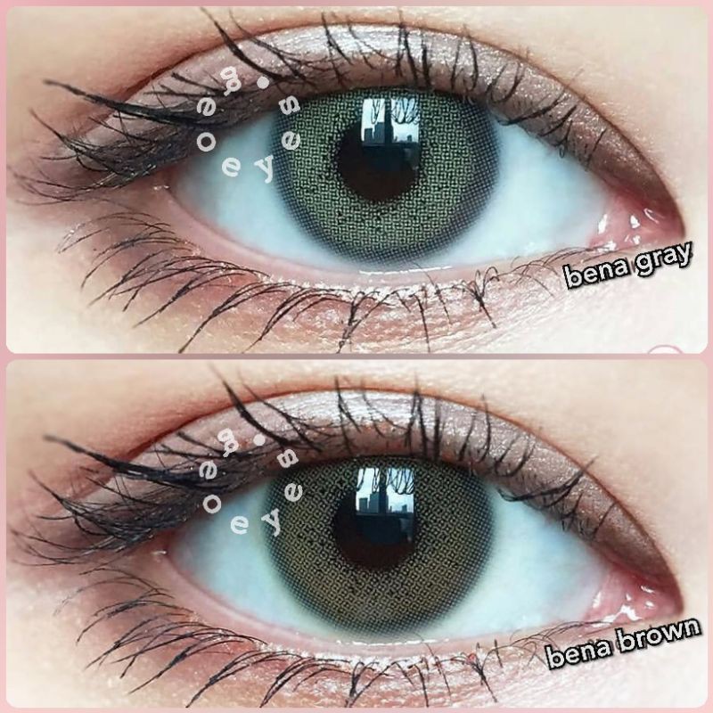 Jual Softlens Kitty Kawaii Bena - Brown dan Grey - Soflen Menyerupai ...