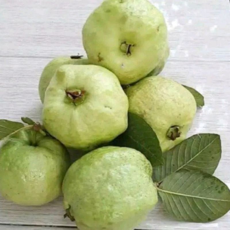 Jual Jambu Kristal Terlengkap & Harga Terbaru Mei 2026 | Shopee Indonesia