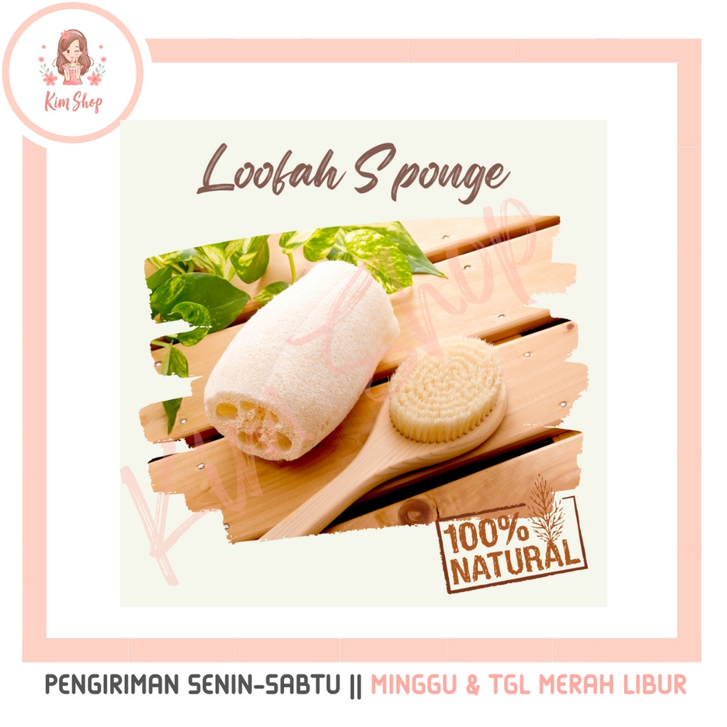 Jual KIM SHOP - Loofah Sponge Spon Mandi Cuci Piring Lofah Gambas Oyong ...