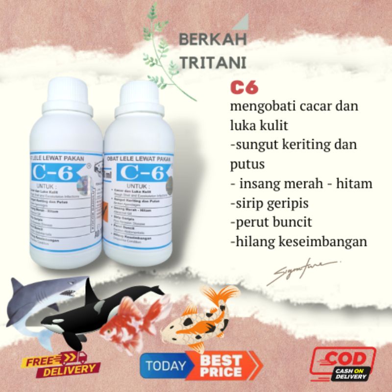 Jual Obat Ikan C6 250 ml Obat ikan Lele Mengatasi Cacar Luka Kulit ...