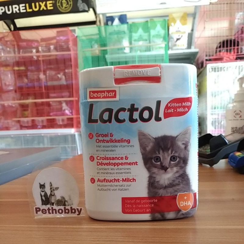 Jual Susu Untuk Anak kucing Beaphar Lactol 500gr | Shopee Indonesia