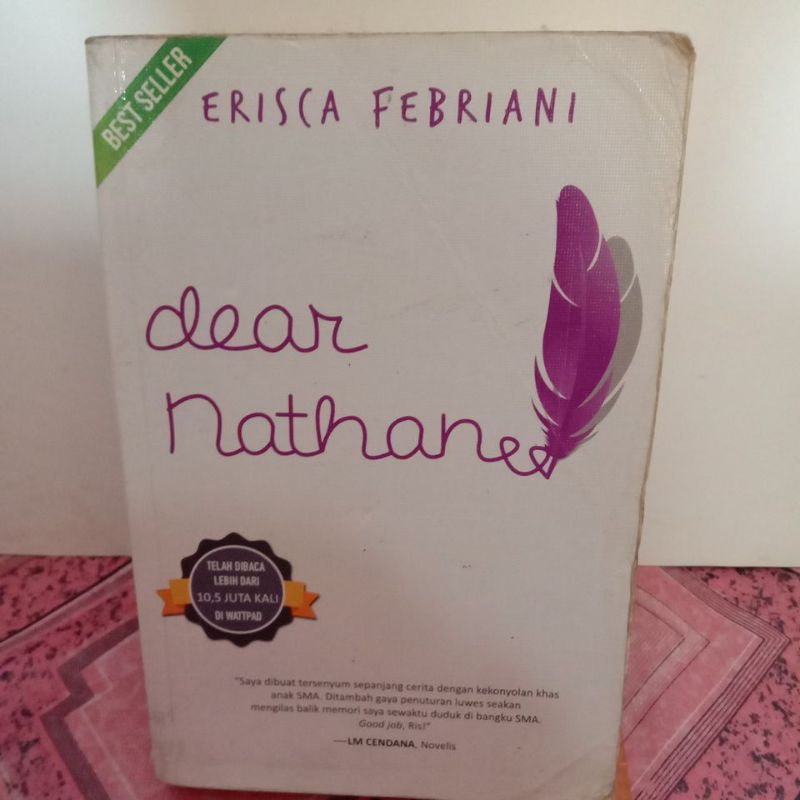 Jual BUKU ERISCA FEBRIANI DEAR NATHAN | Shopee Indonesia