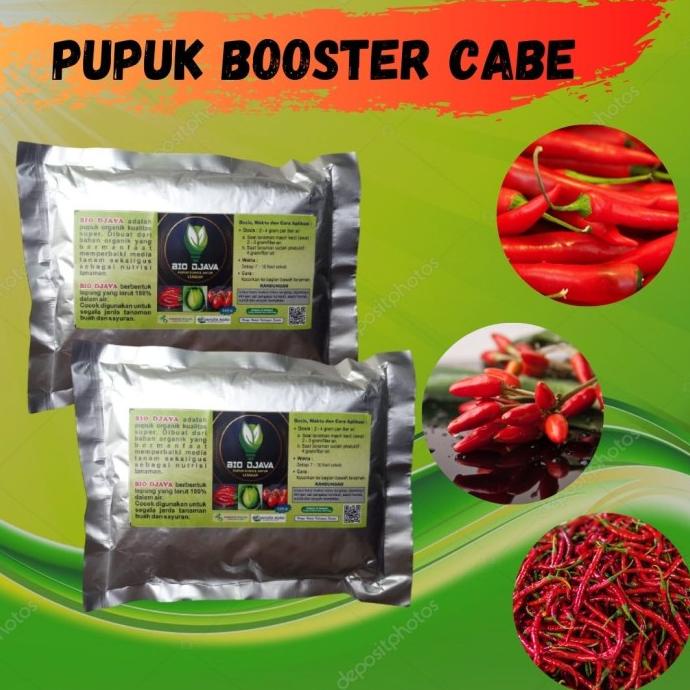 Jual Taman | Pupuk | Pupuk Cabe Agar Berbuah Lebat, Pupuk Penyubur Tanaman Cabe Cabai | Rumah ...