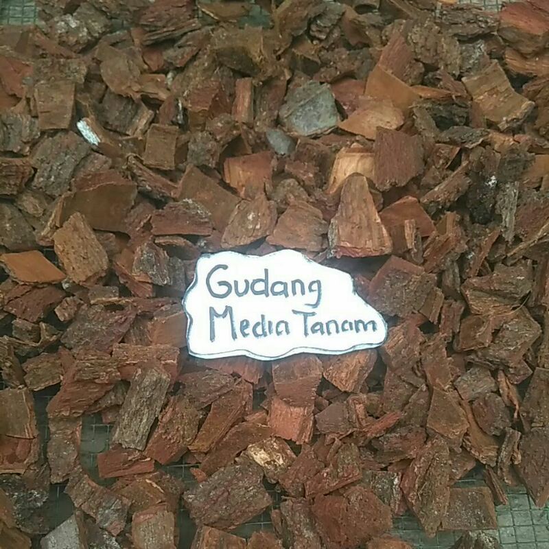 Jual media tanam kulit pinus cacah 1 KG |Gudang Media Tanam | Shopee ...