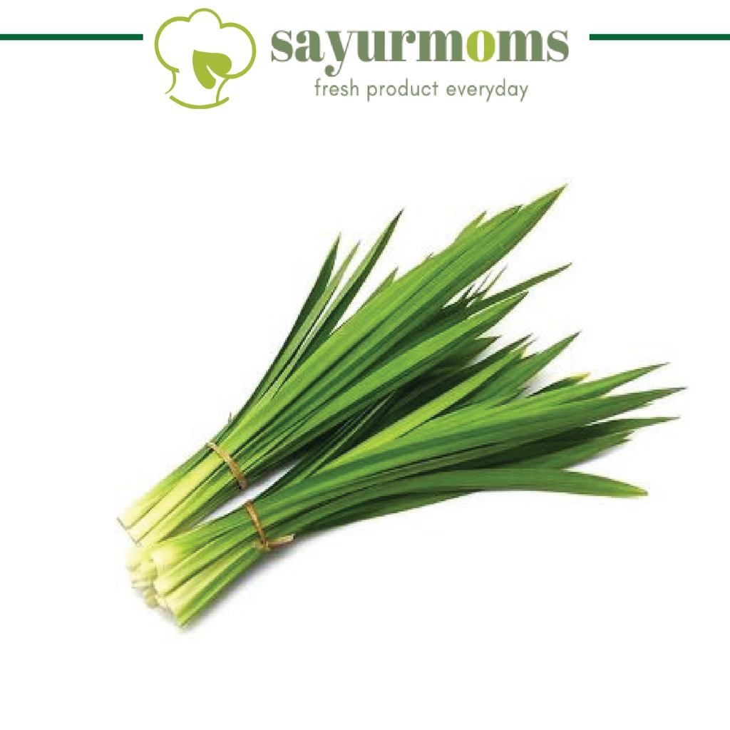 Jual Daun Pandan per Ikat Surabaya | Shopee Indonesia