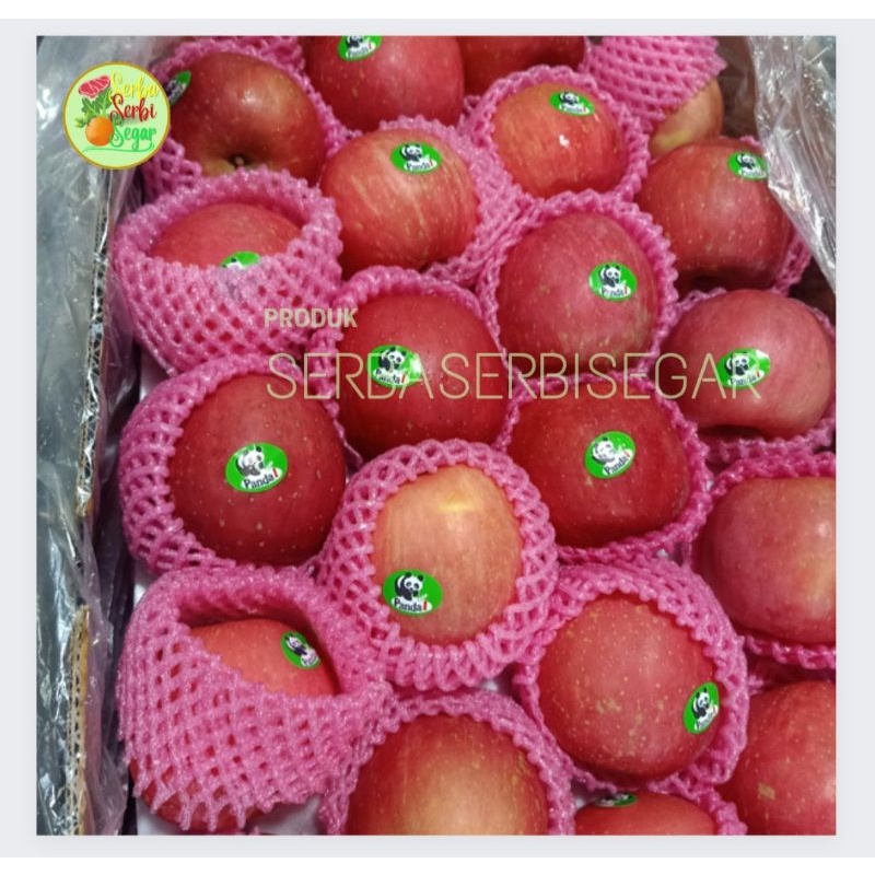 Jual APEL FUJI 1 KG | Shopee Indonesia