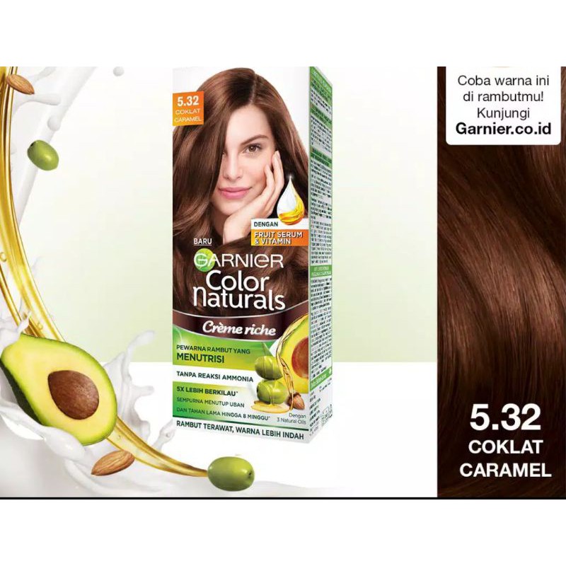 Jual Semir Rambut Garnier Color Naturals Pewarna Rambut Warna Coklat ...
