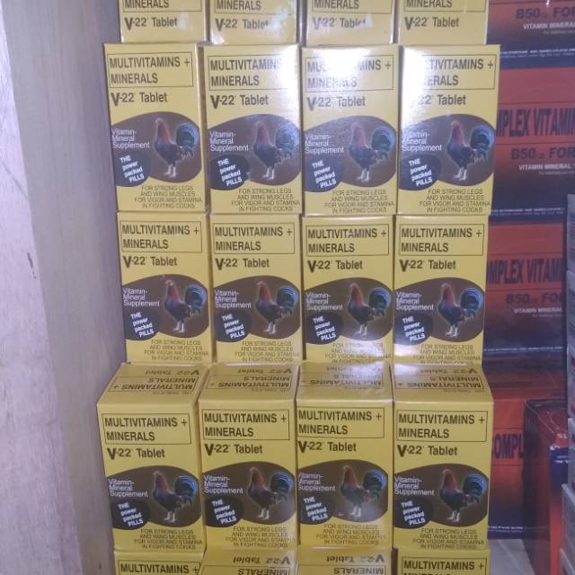 Jual V22 Tablet (Multivitamin + Mineral) | Shopee Indonesia