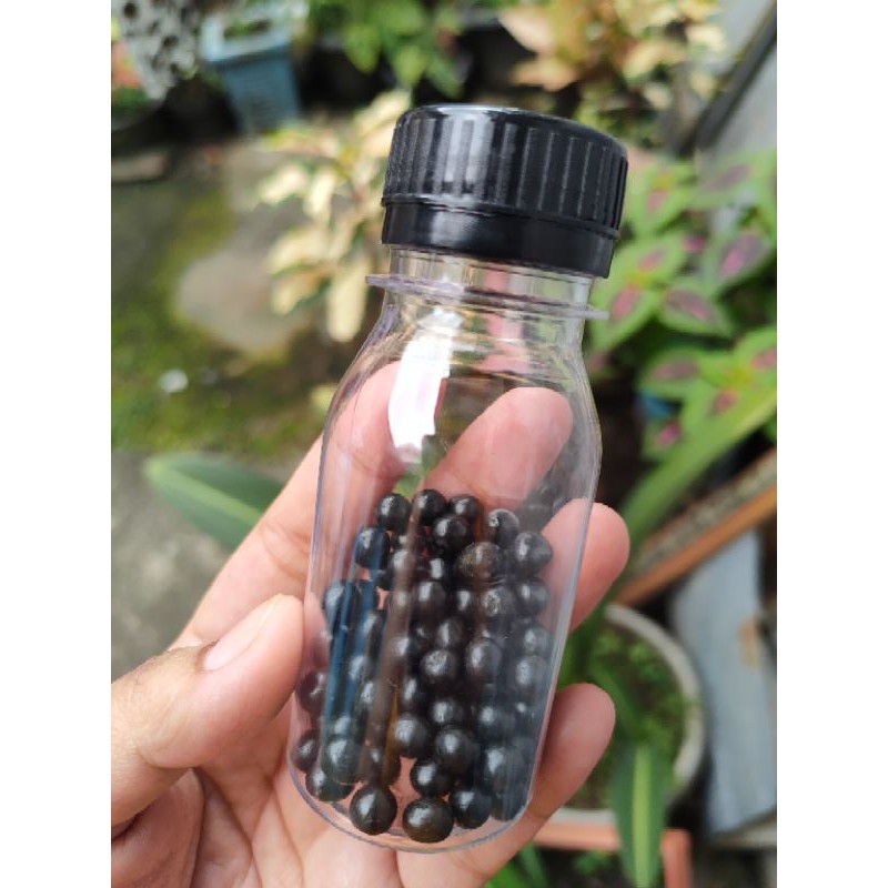 Jual pil jamu kembali perawan isi 50 biji | Shopee Indonesia