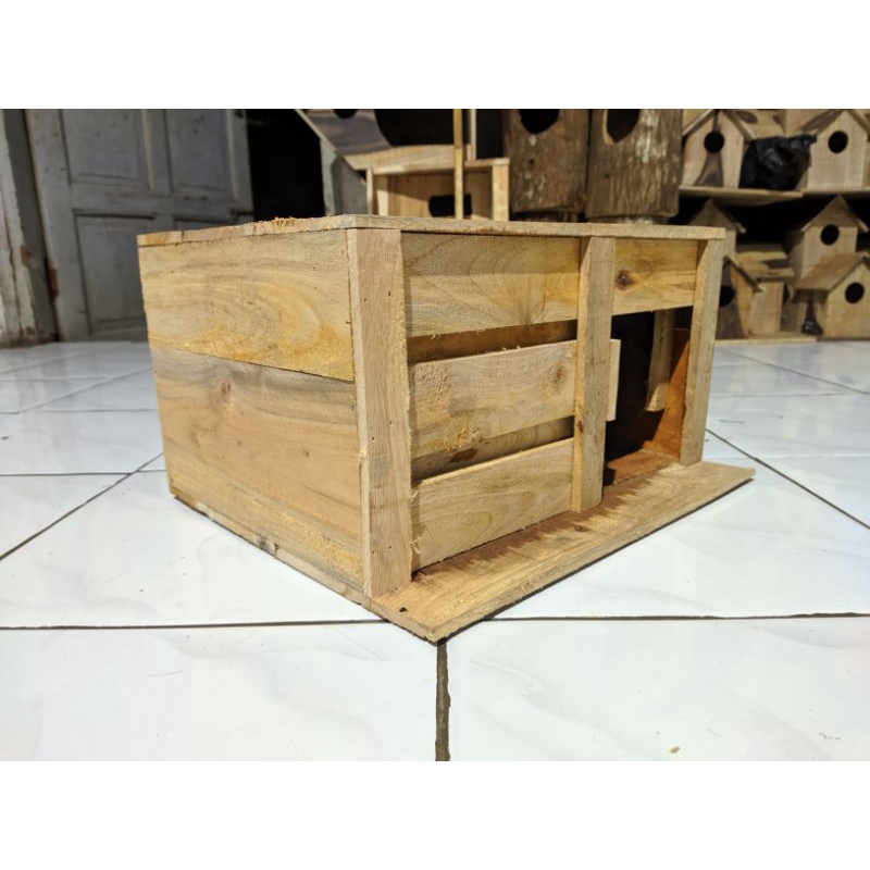 Jual gupon Merpati terlaris medium size pagupon burung dara slending ...