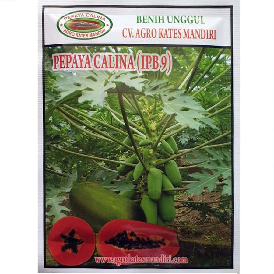 Jual Isi 10gram - Benih Pepaya California Calina IPB9 - Bibit Pepaya ...